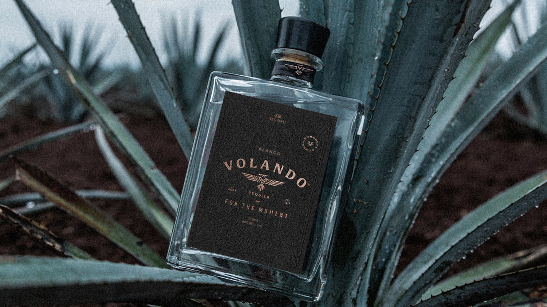 Volando Tequila